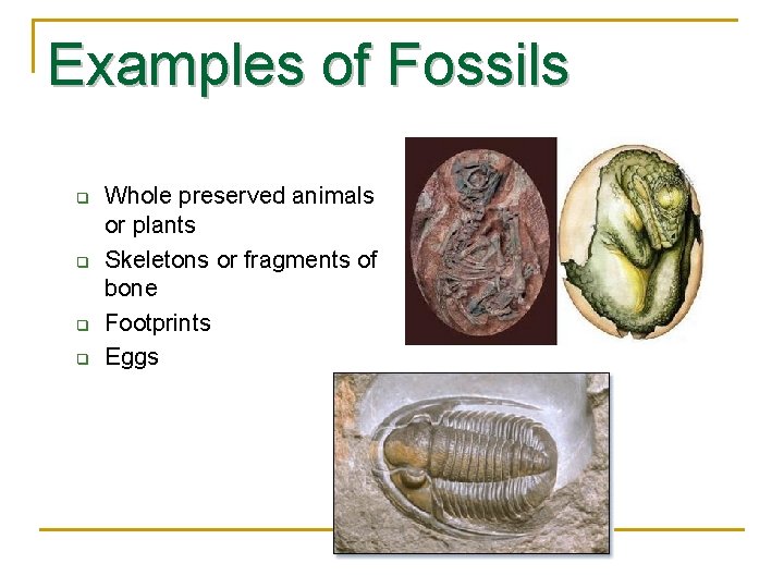 Evolution The Unifying Theme of Biology True or