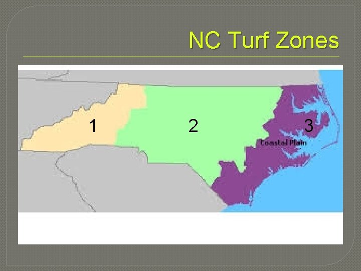 Understand Turf Objective Remember North Carolina turf grass