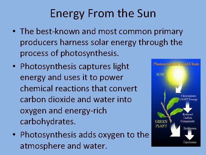 Chapter 3 The Biosphere 3 1 What is