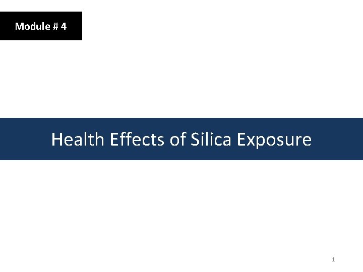 Module 4 Health Effects of Silica Exposure 1
