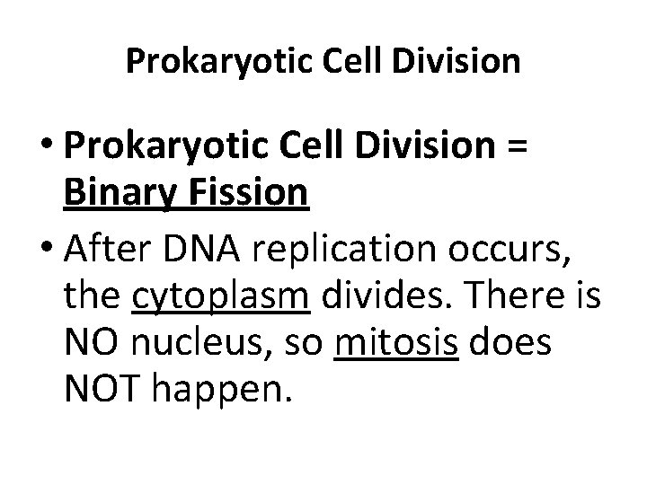 Bell Ringer Cell Division Review Units 5 6