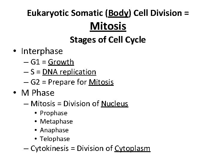 Bell Ringer Cell Division Review Units 5 6