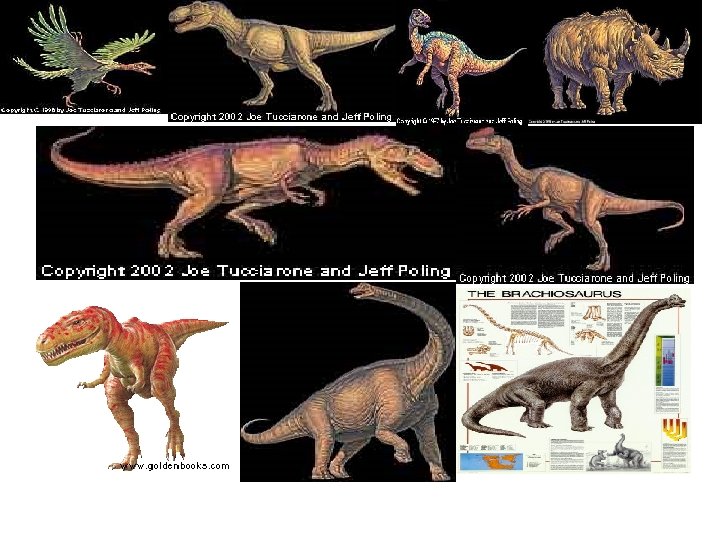 UNIT Dinosaurs Standard th 6 Presented by Shri