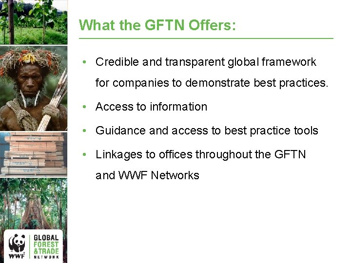 From Vision to Action Promoting Responsible Forest Management