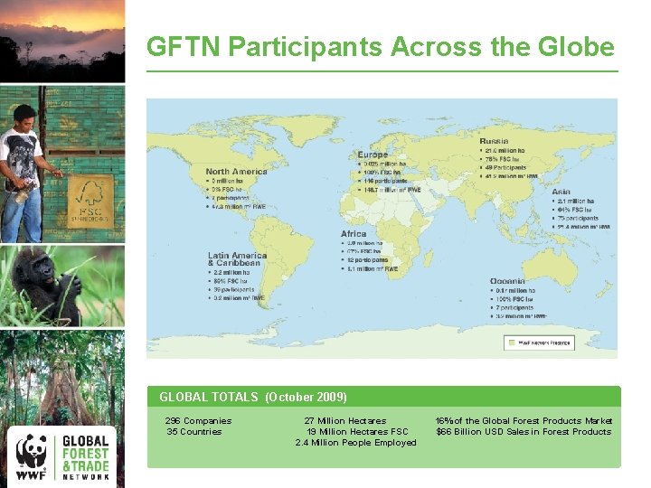 From Vision to Action Promoting Responsible Forest Management