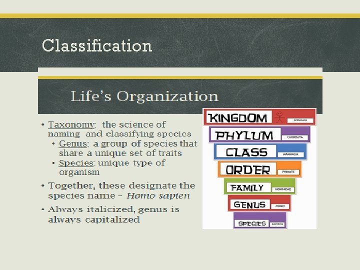 Unit 1 Biology and Lifes Chemical Basis Chapter