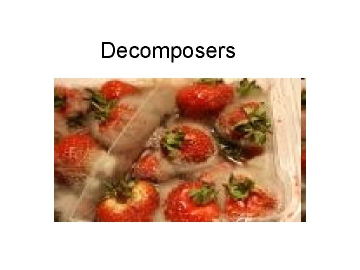 Decomposers What is decomposition Who does it The