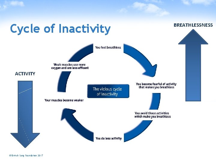 British Lung Foundation Self Care blf org uk