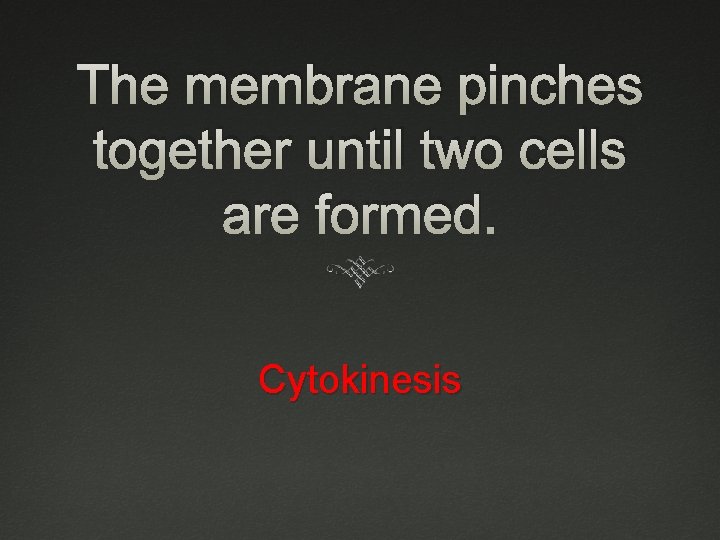 Mitosis Review The membrane pinches together until two