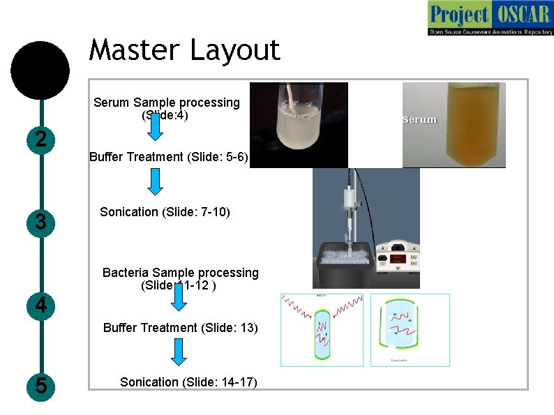 Effect of Sonication on bacterial and Serum protein