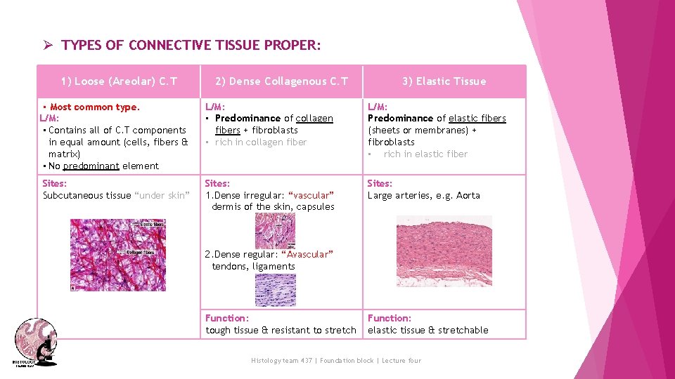 Connective Tissue Red important Black in malefemale slides