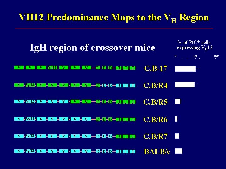 Natural Antibodies Made by B1 cells Self replenishing