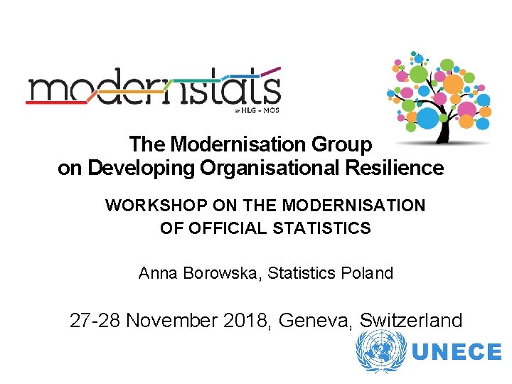 The Modernisation Group on Developing Organisational Resilience WORKSHOP