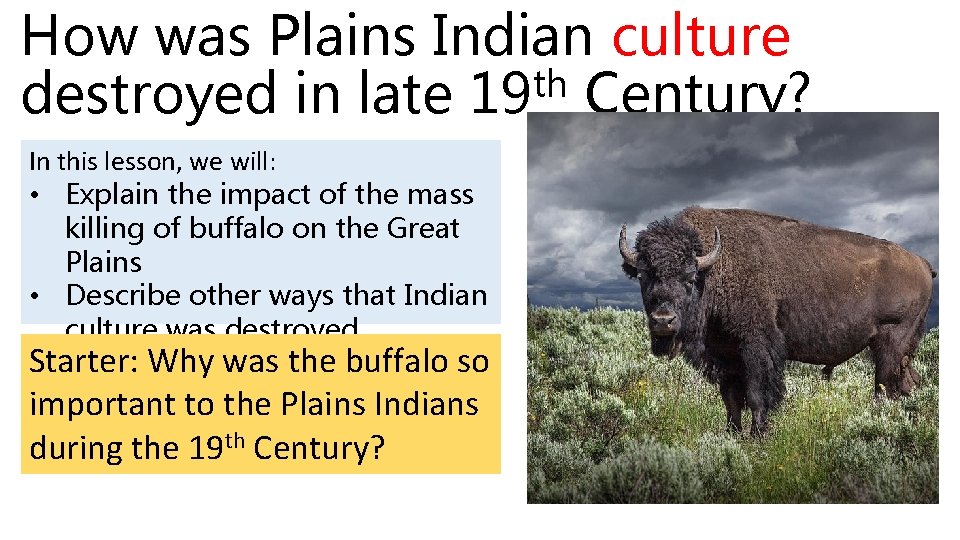 How was Plains Indian culture th destroyed in