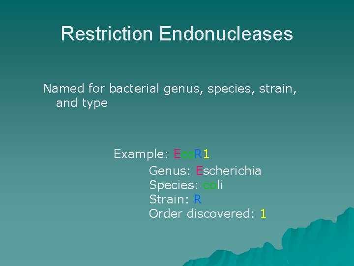 Restriction Enzymes Nilansu Das Dept of Molecular Biology