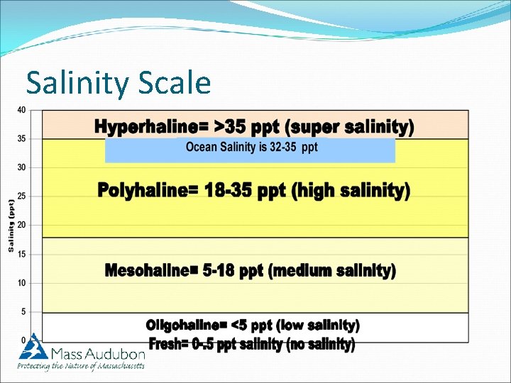 Analyzing Mass Audubons Salt Marsh Science Project Data