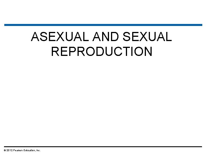 Chapter 27 Reproduction and Embryonic Development Power Point