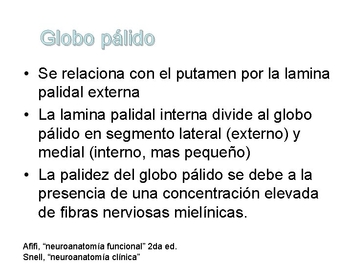 Ganglios Bsales Introduccin Ganglios Basales Son un grupo