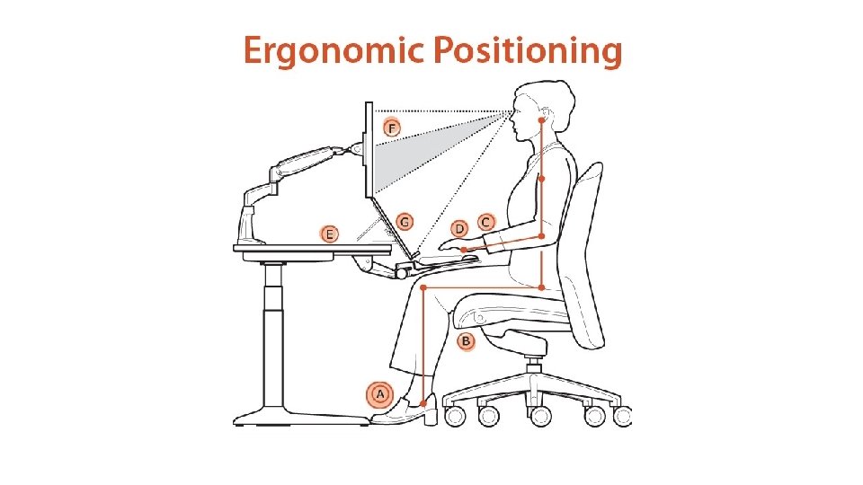 ERGONOMICS of ANIMATION VAL HUNTER PT CHT Therapeutic