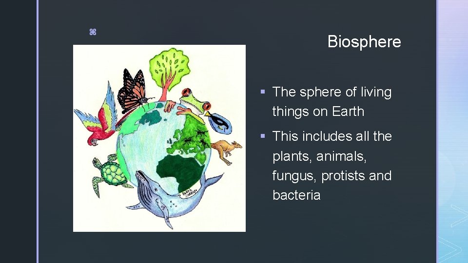z Section 1 2 and 1 4 Earths