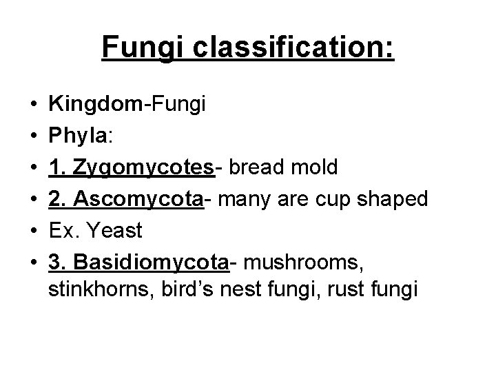 Chapter 20 Fungi How are mushrooms yeast and
