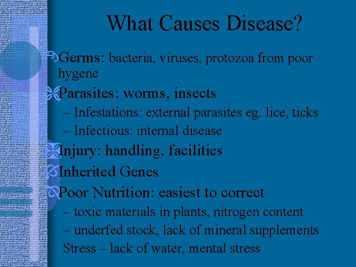 Animal Health Chapter 5 What Causes Disease Germs