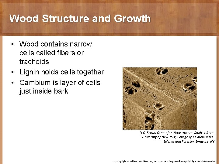 Chapter 3 Building Materials Objectives Describe the hardwood