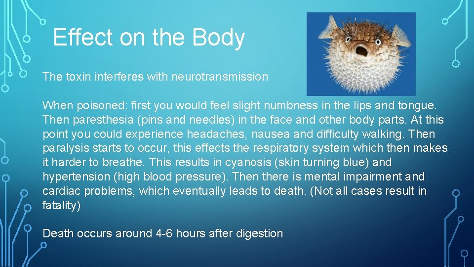 TETRODOTOXIN BY SHAUN AND JULIA Some interesting questions