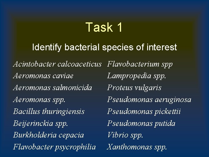 Role of Bacteria as Indicator Organisms for Watershed