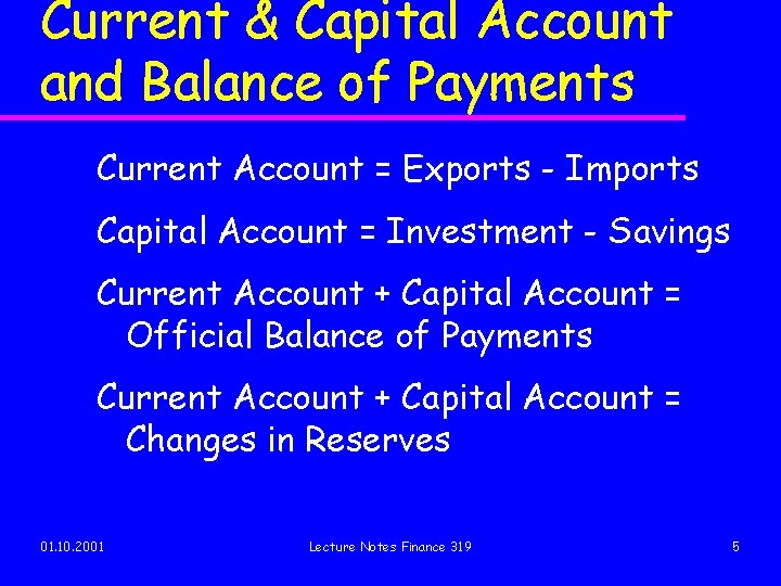 Finance 319 Lecture 2 Basic Concepts u Galina