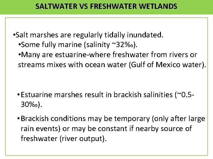 WETLANDS NATURES UNIQUE AQUATIC SYSTEMS Allison Parnell Coastal