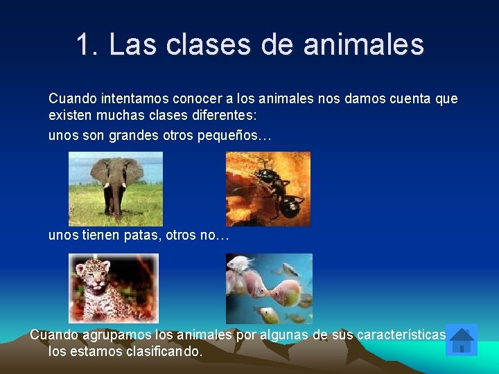 1 Las clases de animales Cuando intentamos conocer