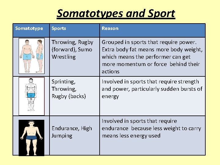 Somatotypes what you should know Knowledge Describe the