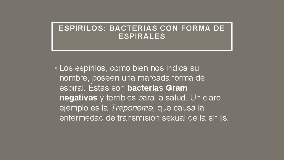 CLASIFICACIN DE LAS BACTERIAS TEMA 2 LAS BACTERIAS