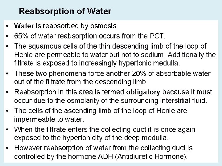 Anatomy and Physiology Biology 2401 Chapter26 The Urinary