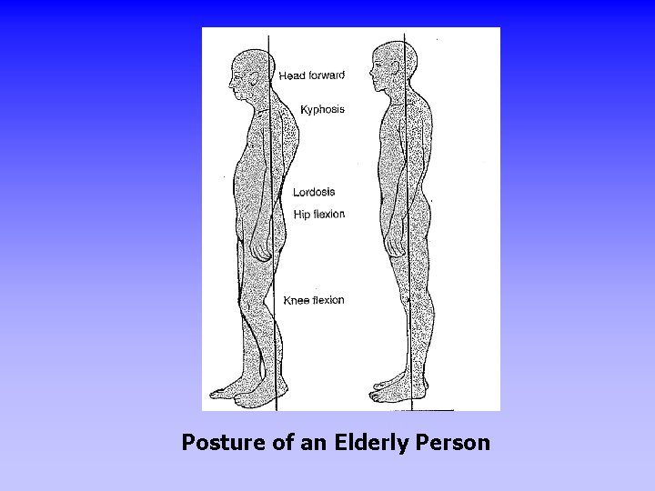 Exercise for the Healthy Elderly September 2013 Wen