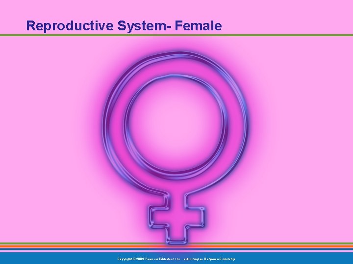 Reproductive System Female Copyright 2009 Pearson Education Inc