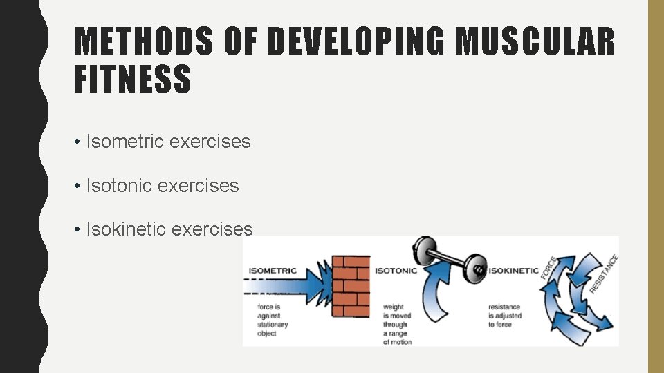 MUSCULAR FITNESS REVIEW TERMS Muscular Strength the ability