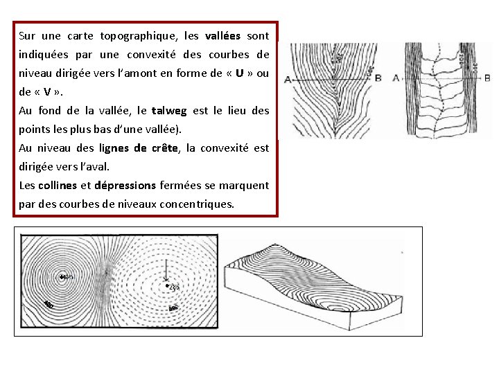 La cartographie gologique La carte topographique est la