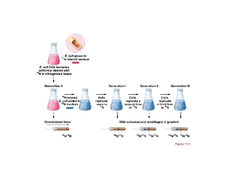 Lecture 33 Dec 4 th 2019 Return lab