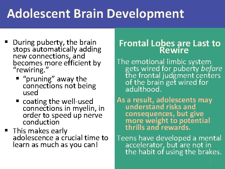 Topic 6 4 Adolescent Development This Photo by