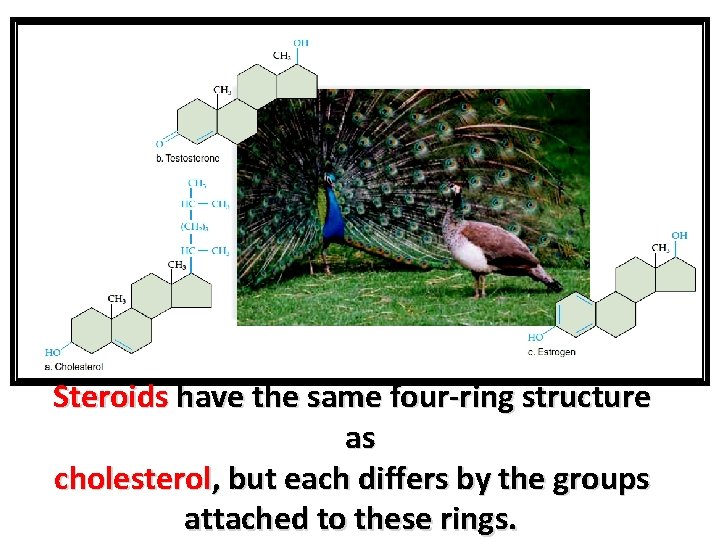 Biology 1 BIO 101 Chapter 1 The Chemistry