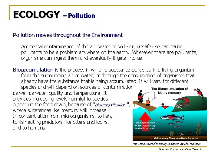 ECOLOGY POWERPOINT SLIDESHOW Grade 7 Science INTERACTIONS ECOSYSTEMS