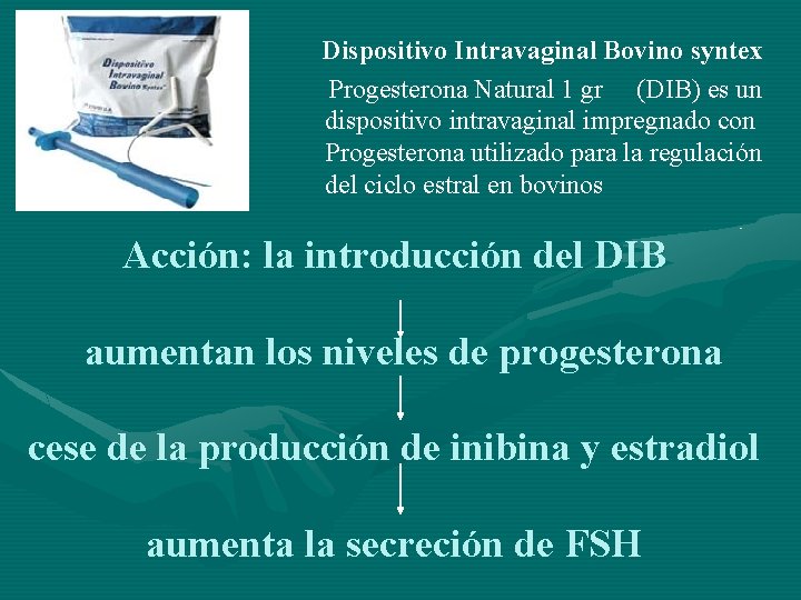 Protocolo De Sincronizacin De Celo Con Progesterona Prostaglandina