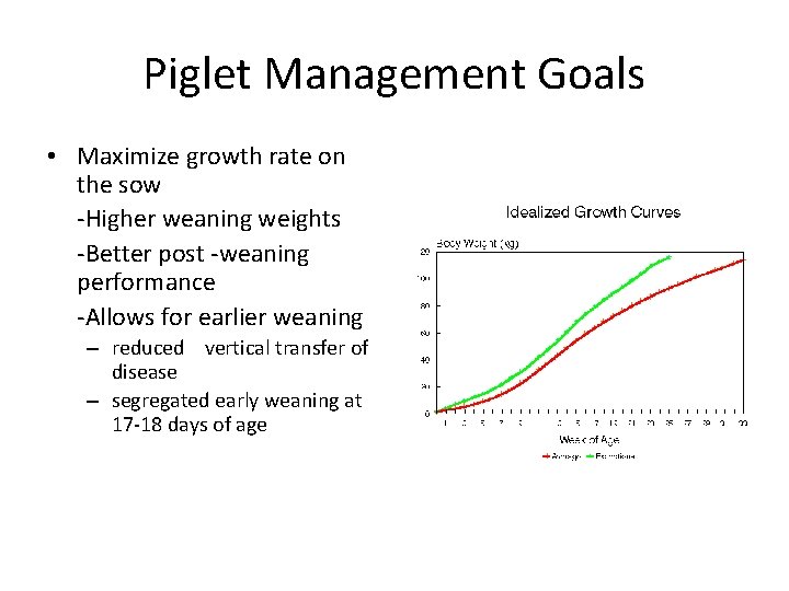 PIGLET MANAGEMENT Birth to Weaning Piglet Management Goals