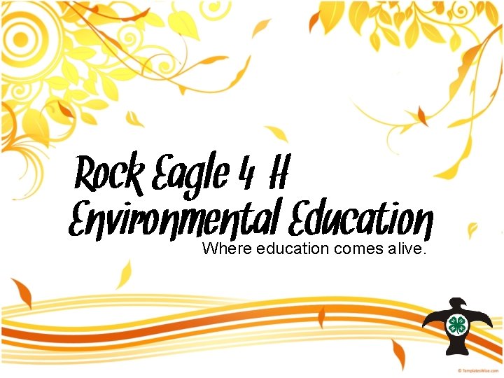 Rock Eagle 4 H Environmental Education Where education