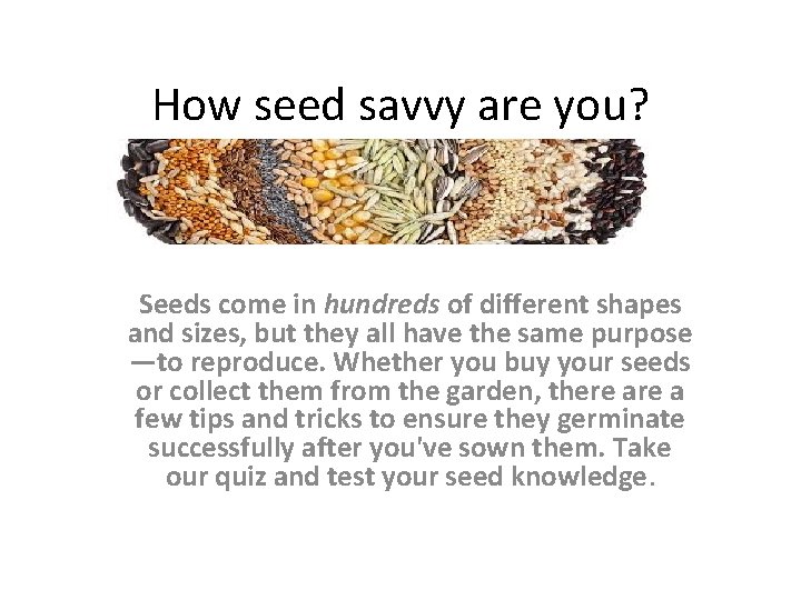 How seed savvy are you Seeds come in