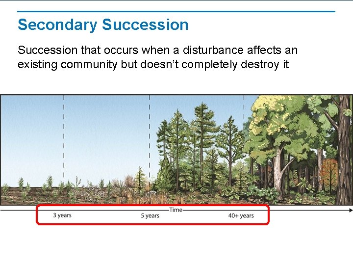 6 2 Succession Learning Objectives Explain how communities