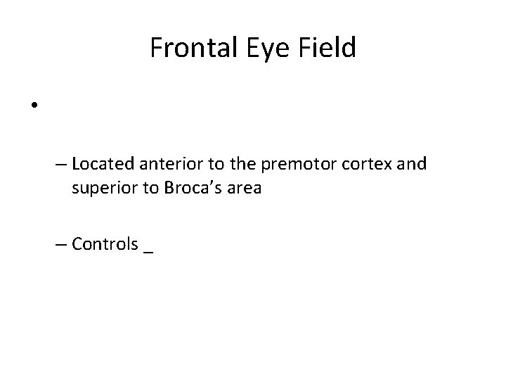 Basic Pattern of the Central Nervous System Spinal