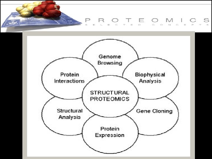 proteomics By RC 7801 A 27 HISTORY The